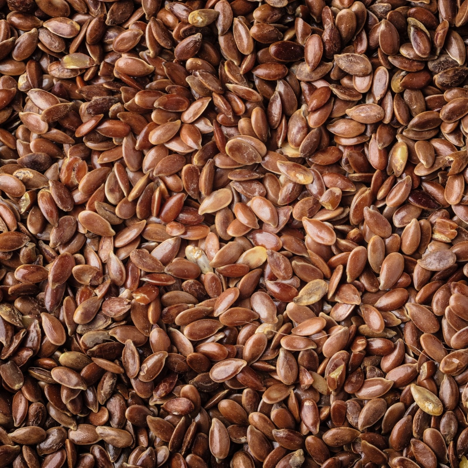 Linseed / Flaxseed (1kg) | The Deli